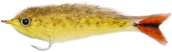 Puglisi Baby Dorado Fly #4/0 | The Fly Fishers