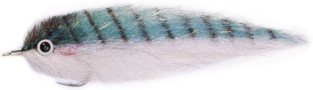 EP Mackerel | The Fly Fishers