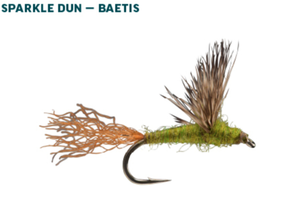 BWO Dry Fly Assortment | Best Baetis Dry Flies | Blue Wing Olive Trout ...