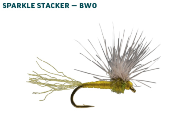 BWO Dry Fly Assortment | Best Baetis Dry Flies | Blue Wing Olive Trout ...