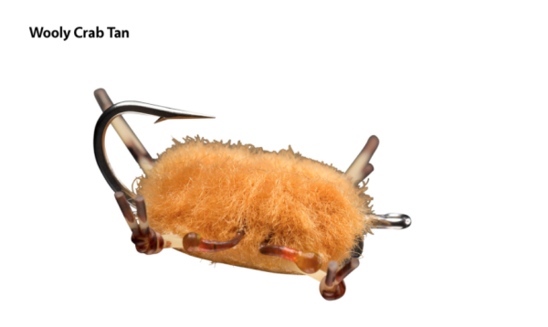 Fly assortments for saltwater fishing | Bonefish & permit fly patterns ...