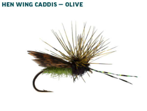 RIO Caddis Fly Assortment | Favorite Caddis Trout Patterns | RIO Fly ...