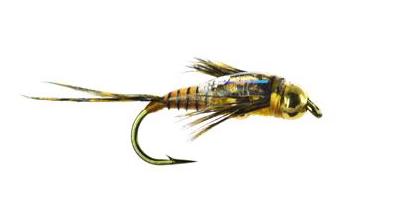 Two Bit Stone Fly SALE | The Fly Fishers